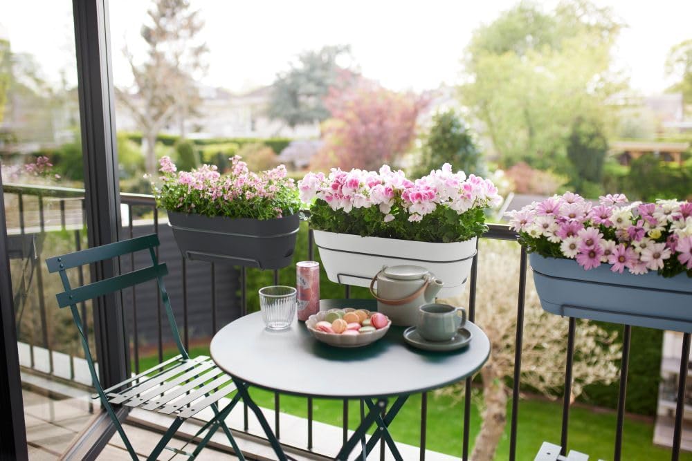 Balcony & Hangers – Garden Store Direct
