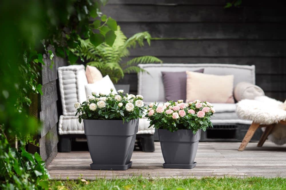 Square Saucers – Garden Store Direct