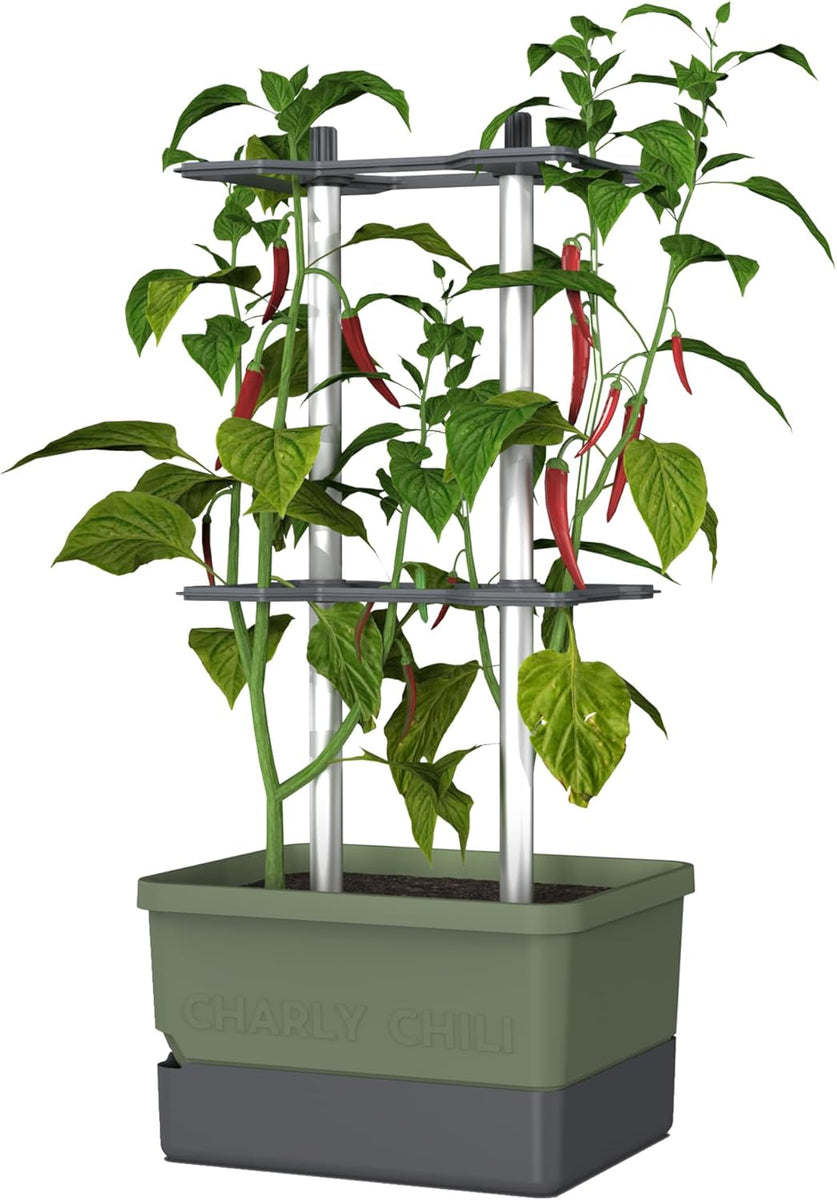 Charly Chili Planter Dark Green - Climbing Aid, Self-Watering System ...