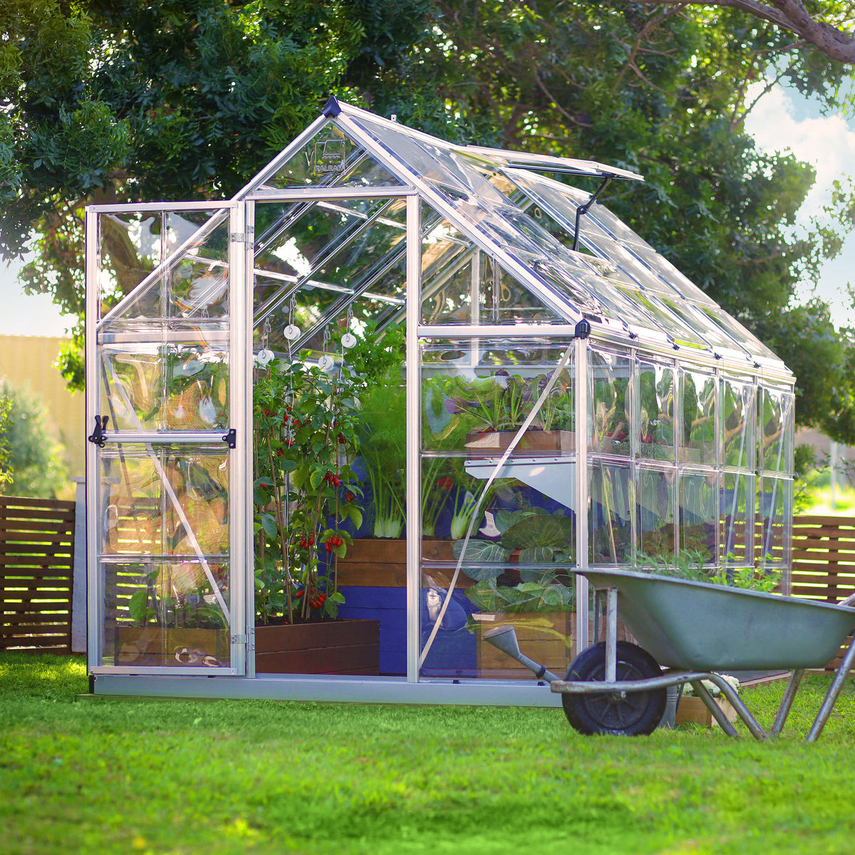 Harmony 6' x 10' Greenhouse - Silver Frame & Clear Polycarbonate Panel ...