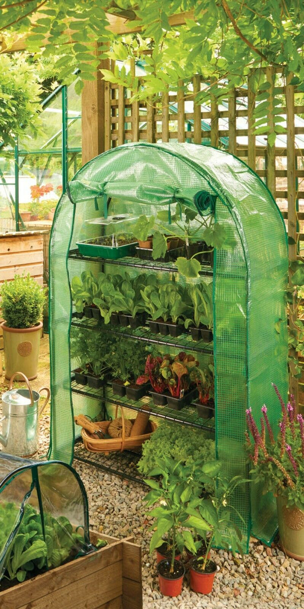 4 Tier Extra Wide Arc with Heavy Duty Cover, Green, 45x105x160 cm ...